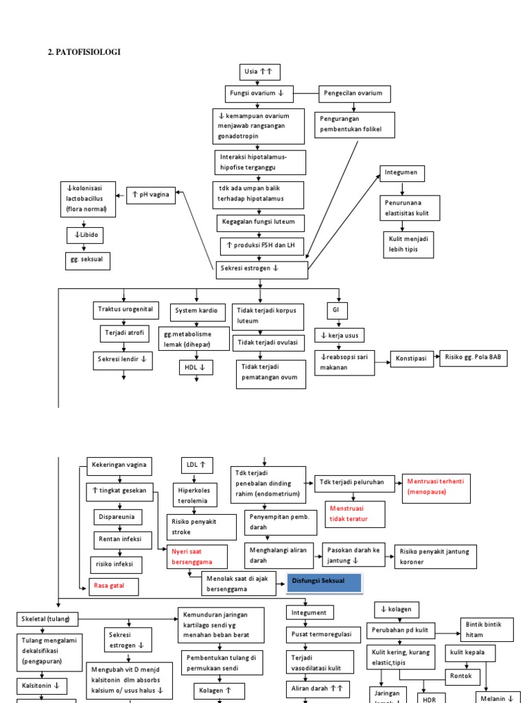 Patof Klimakterium | PDF
