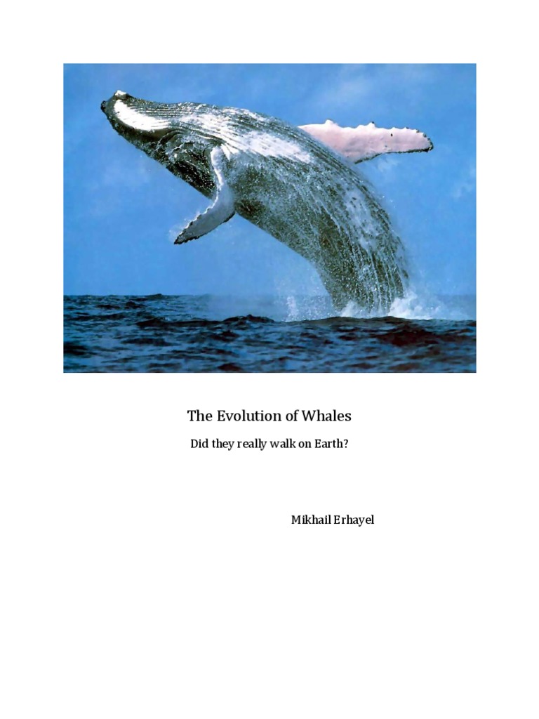 Whale Evolution: From Land to Sea | PDF | Cetacea | Paleontology