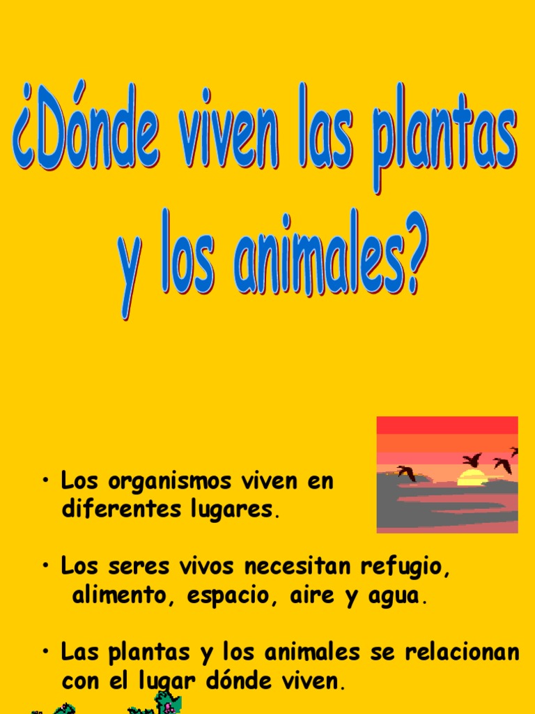 Donde Viven Los Animales | PDF