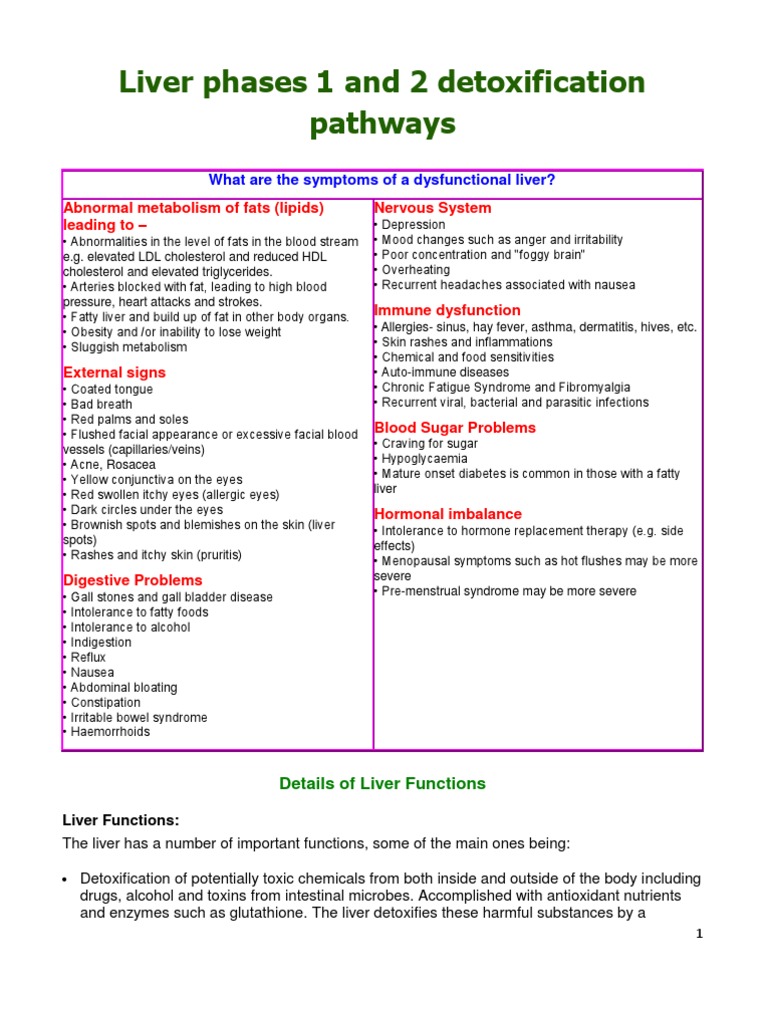 Liver Detoxification Phases Explained | PDF | Drug Metabolism | Glutathione