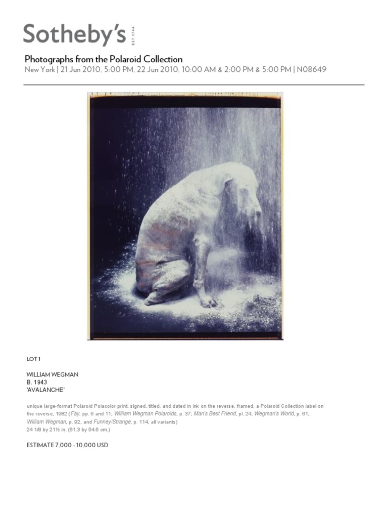 Photographs From The Polaroid Collection Sotheby's | PDF | Camera | Art ...