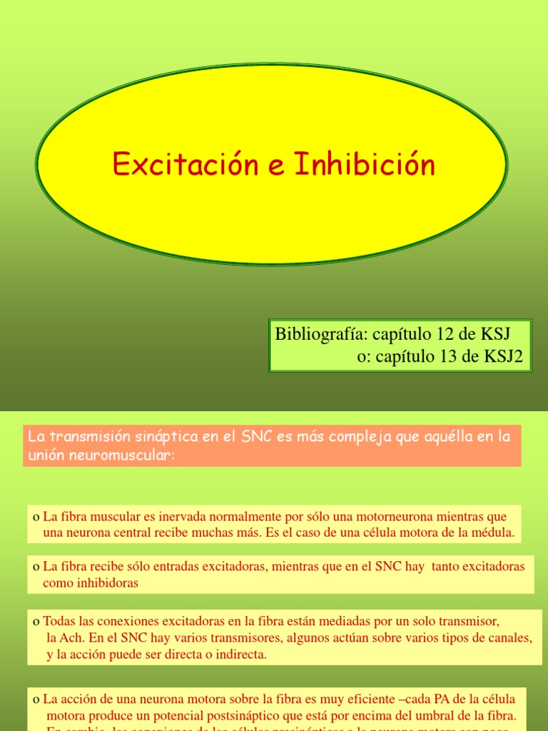 Excitacion e Inhibicion Neuronal | Receptor Nmda | Sinapsis