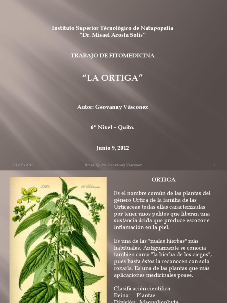 La Ortiga | PDF | Plantas | Salud y bienestar