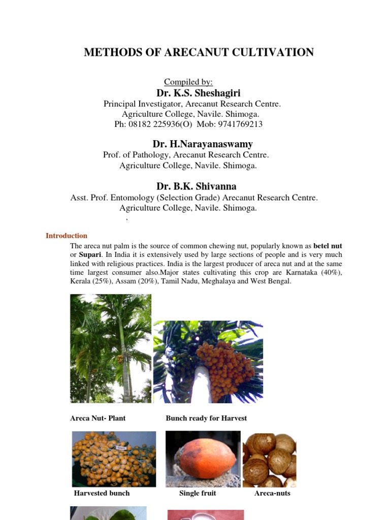 Methods of Arecanut Cultivation | PDF | Plant Nursery | Soil