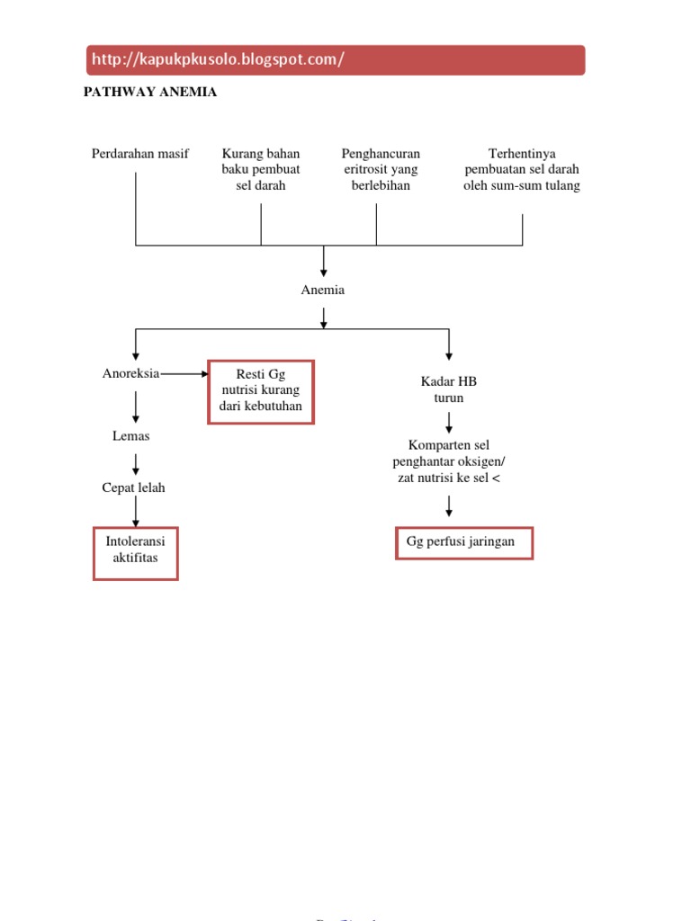 Pathway Anemia