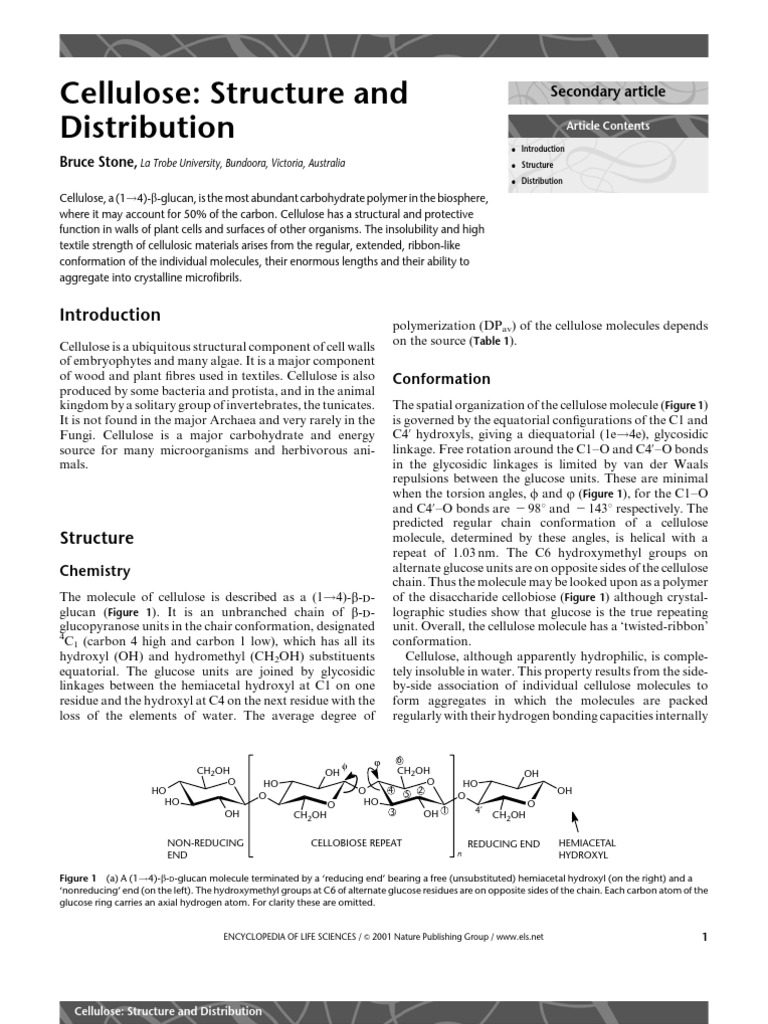 Cellulose Structure | PDF | Cellulose | Science