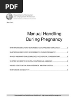 Pregnancy Risk Assessment Template | PDF