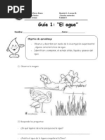 Guía del Ciclo y Estados del Agua | PDF | El ciclo del agua | Agua