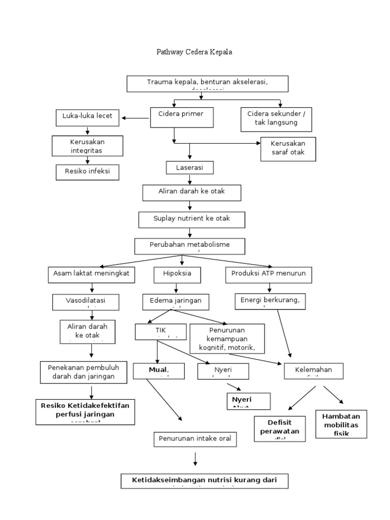 Pathway Cedera Kepala | PDF | Kesehatan Holistik