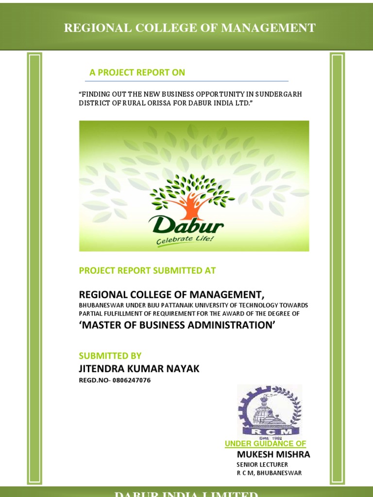 Dabur's Business Opportunities in Sundergarh | PDF