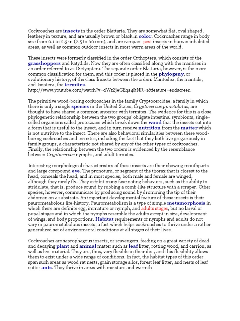 Cockroaches | Download Free PDF | Insects | Science