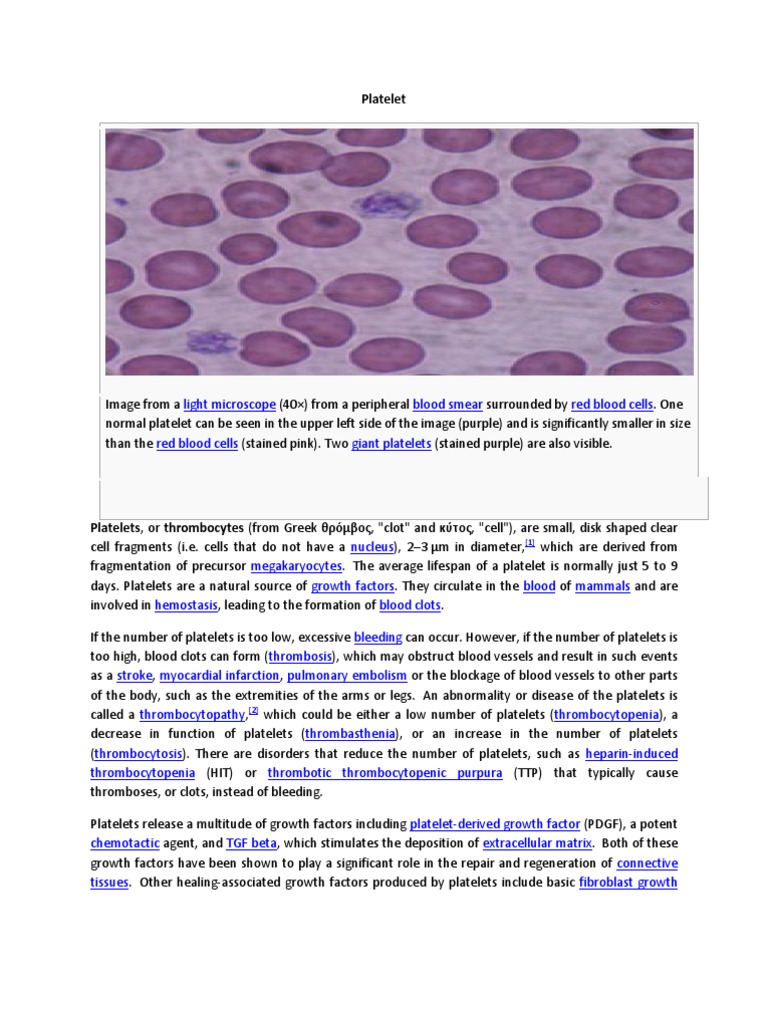 Platelets Information | Platelet | Blood Cell
