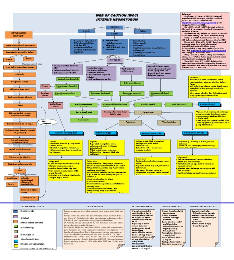 WEB of CAUTION Icterus Neonatorum