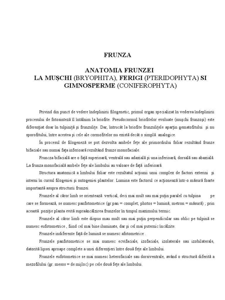 Anatomia Frunzei La Muşchi (Bryophita), Ferigi (Pteridophyta) Si Gimnosperme (Coniferophyta) | PDF
