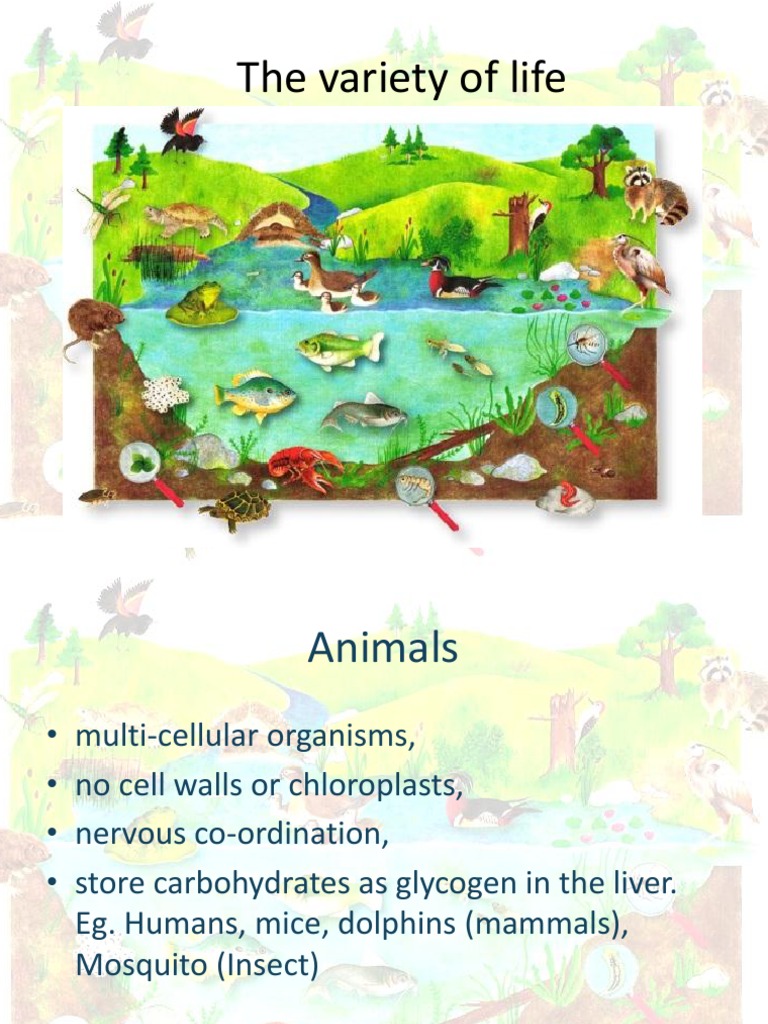 The Variety of Life | PDF