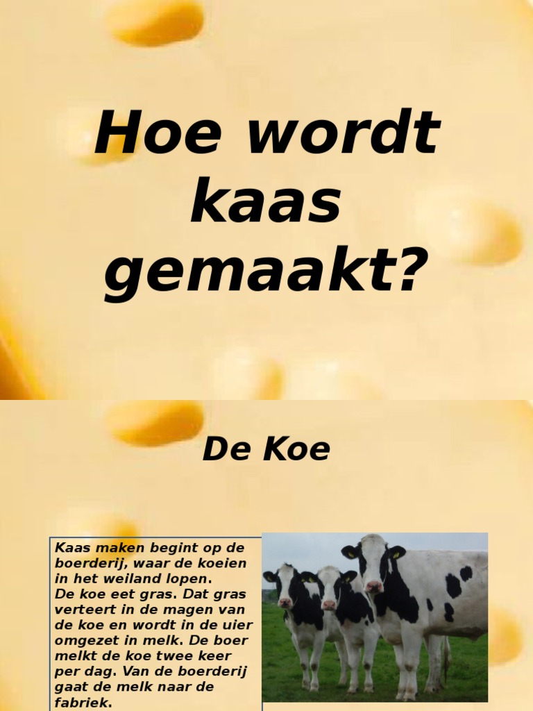 Hoe Wordt Kaas Gemaakt | PDF