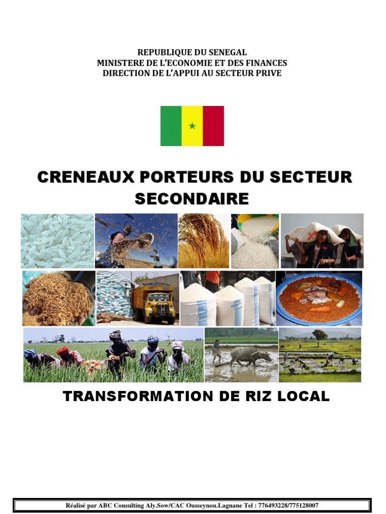 Usinage Et Transformation Du Riz Local | Riz | Agriculture