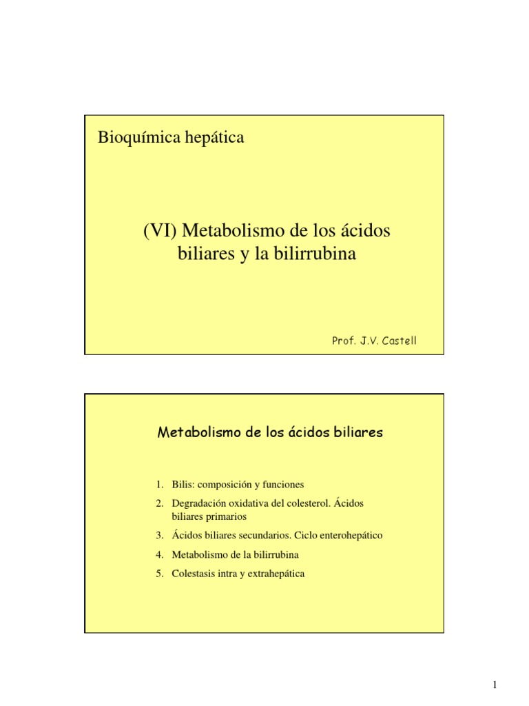Acidos Biliares y Bilirrubina | PDF | Bilis | Gastroenterología