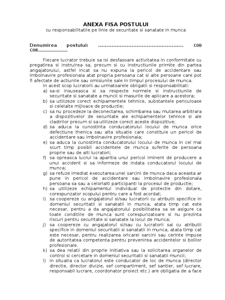 ANEXA FISA POSTULUI SSM.doc