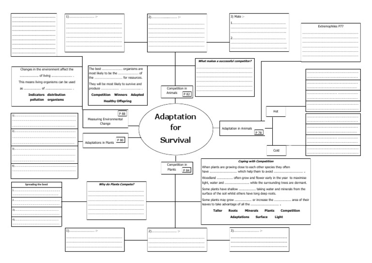 Adaptations Map New PDF | PDF