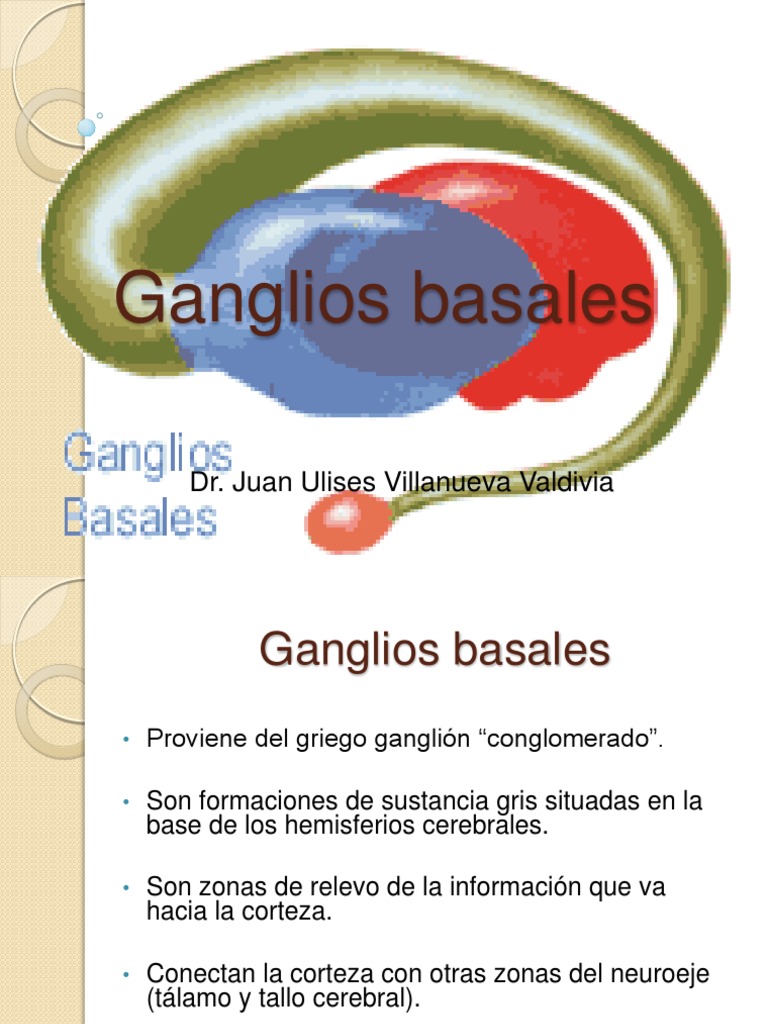 cerebro_ganglios_basales.ppt | Ganglios basales | Tálamo