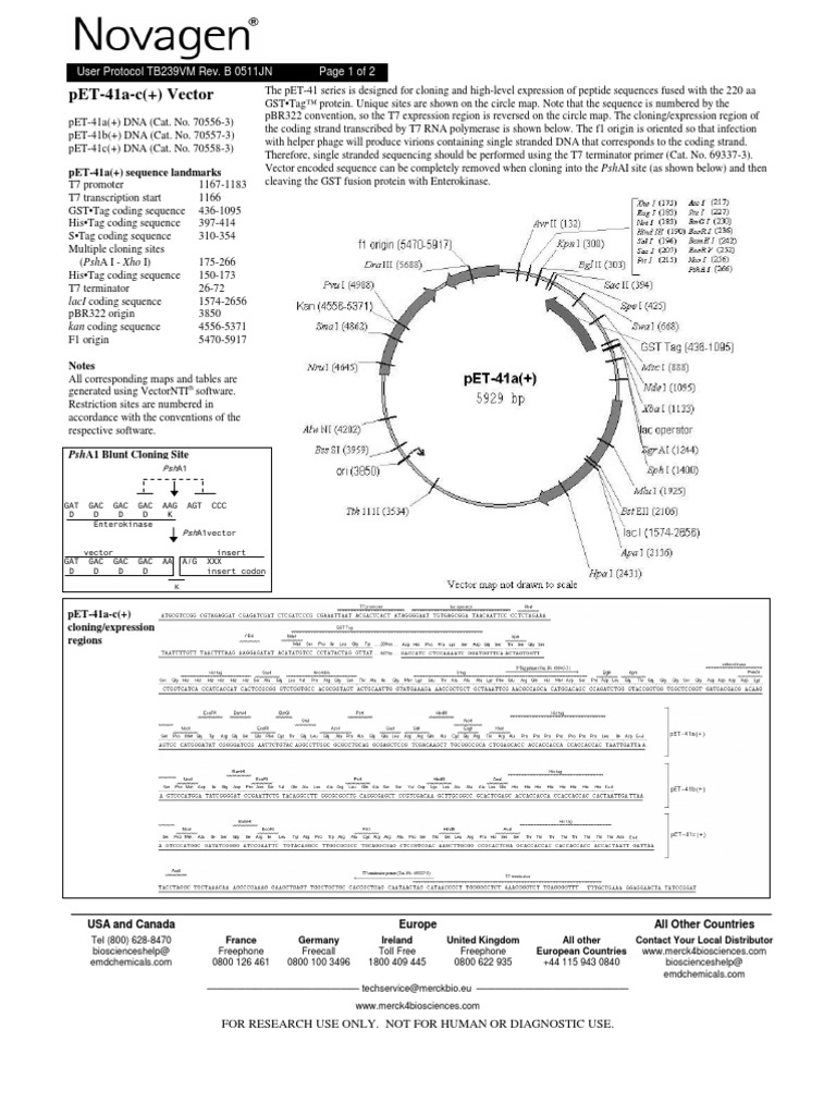 pET-41a-c (+) Vector | PDF | Gene Expression | Dna
