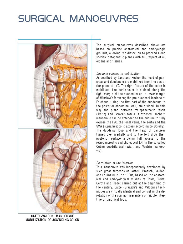 Maniobras Quirurgicas | Pancreas | Human Anatomy