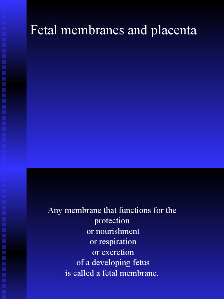 Fetal Membranes and Placenta | PDF | Placenta | Fetus