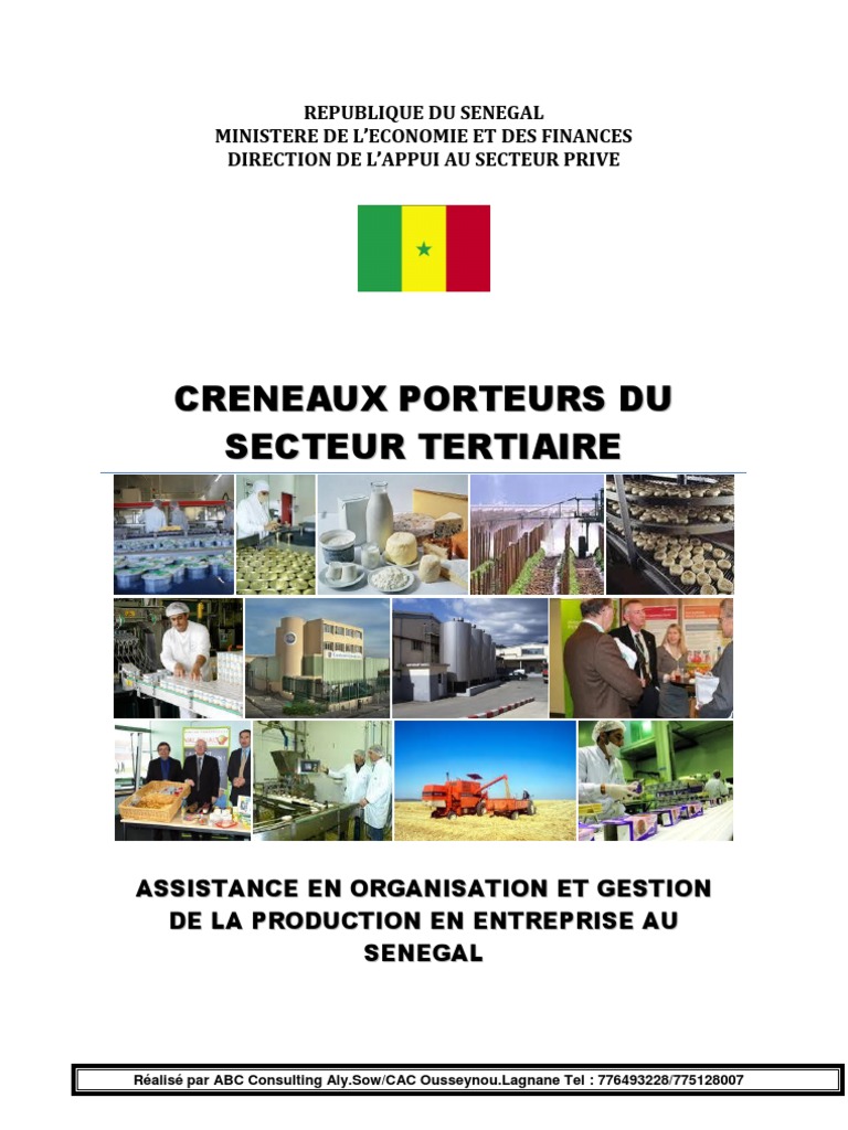 Gestion de La Production Assistée Par Ordinateur GPAO | PDF | Informatique | Business