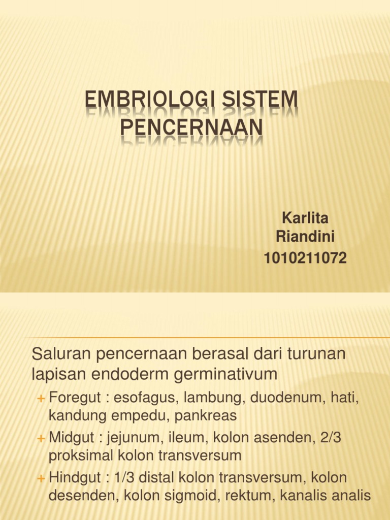 Embriologi Sistem Pencernaan | PDF | Kesehatan Holistik