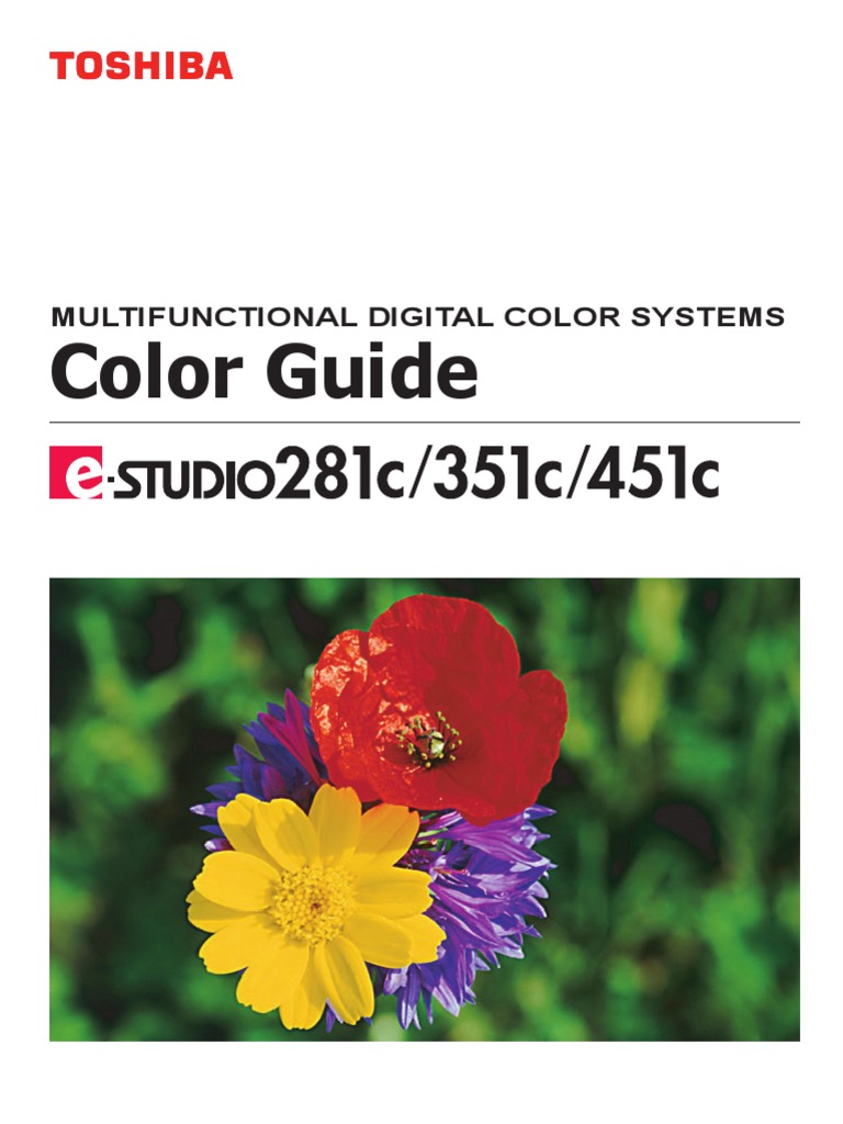 Color Guide: Multifunctional Digital Color Systems | PDF | Magenta | Cyan
