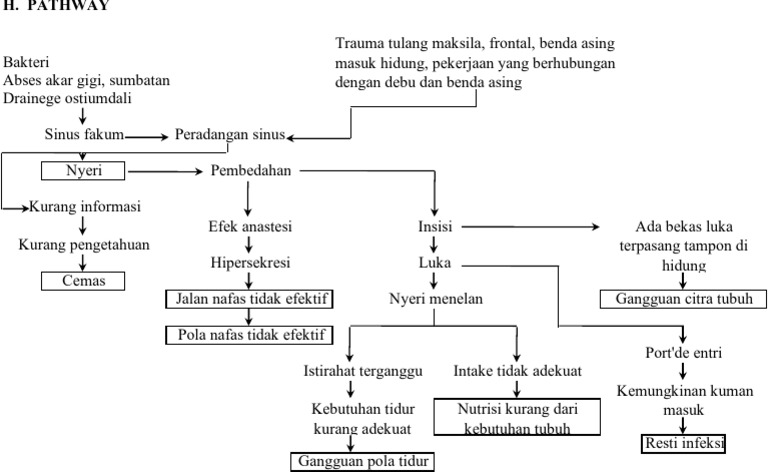 Pathway Sinusitis | PDF