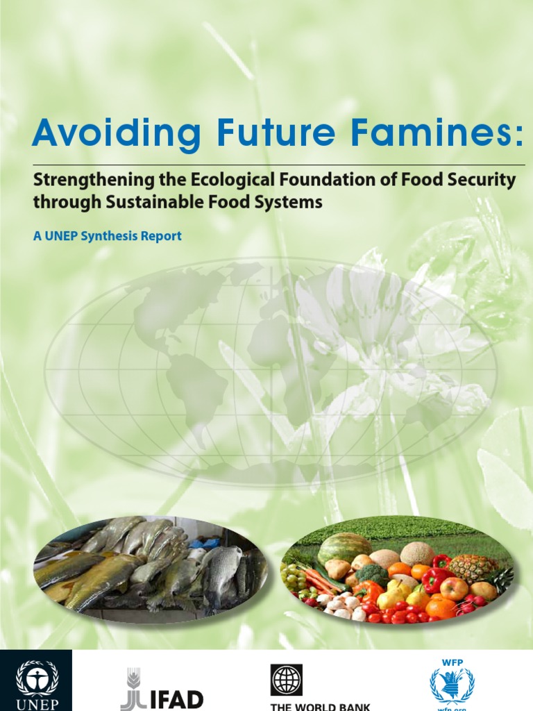 UNEP Food Security Report | PDF | Sustainability | Food Security