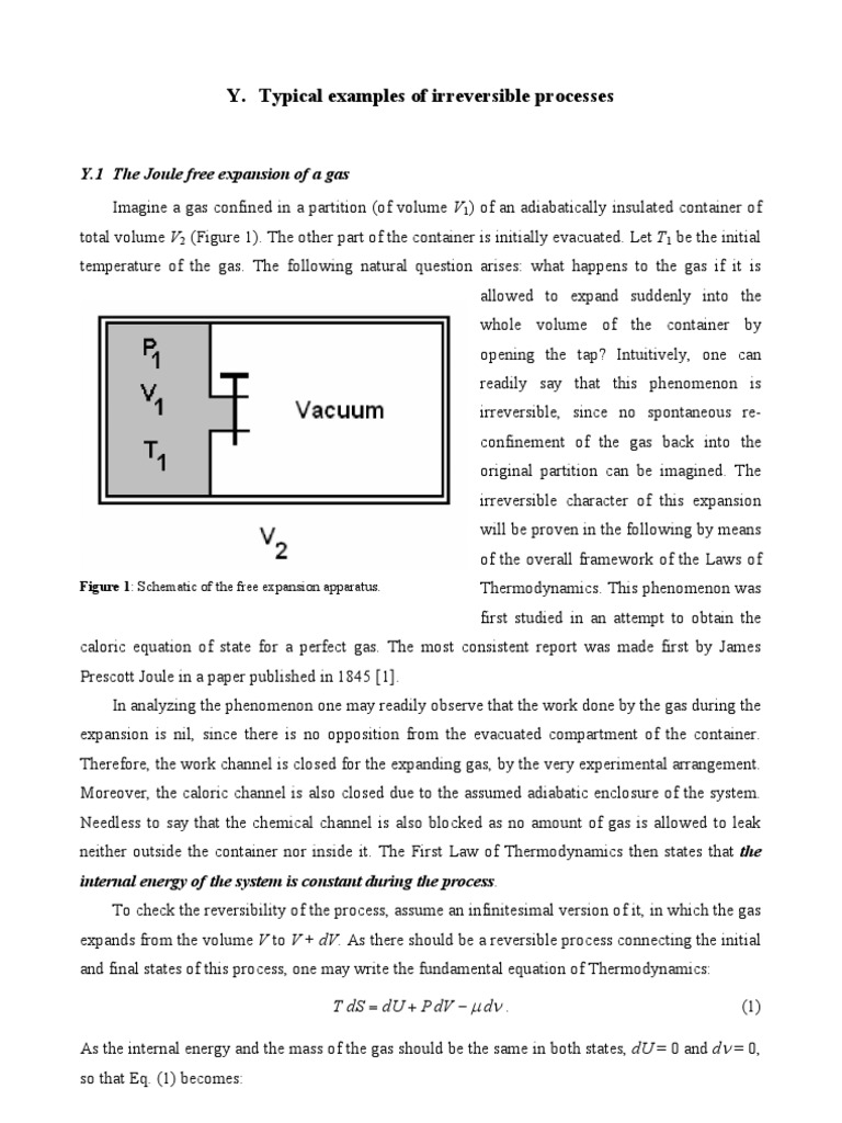 Typical Examples of Irreversible Processes | PDF | Thermodynamic ...