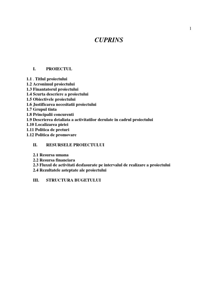 Proiect European | PDF