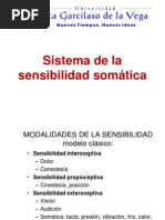 Tacto Protopático y Epicrítico en Kinesiología | PDF | Piel | Neurobiología