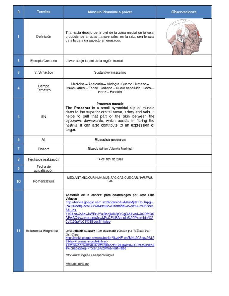 Músculo Piramidal o Prócer | PDF