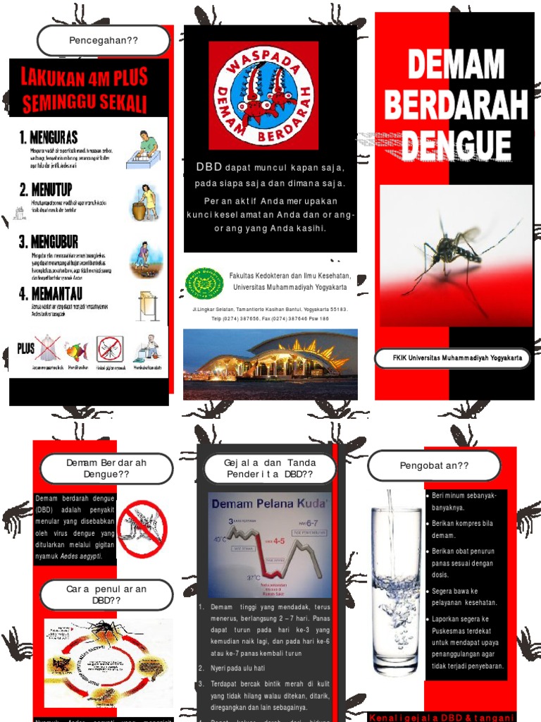 Leaflet Demam Berdarah Dengue