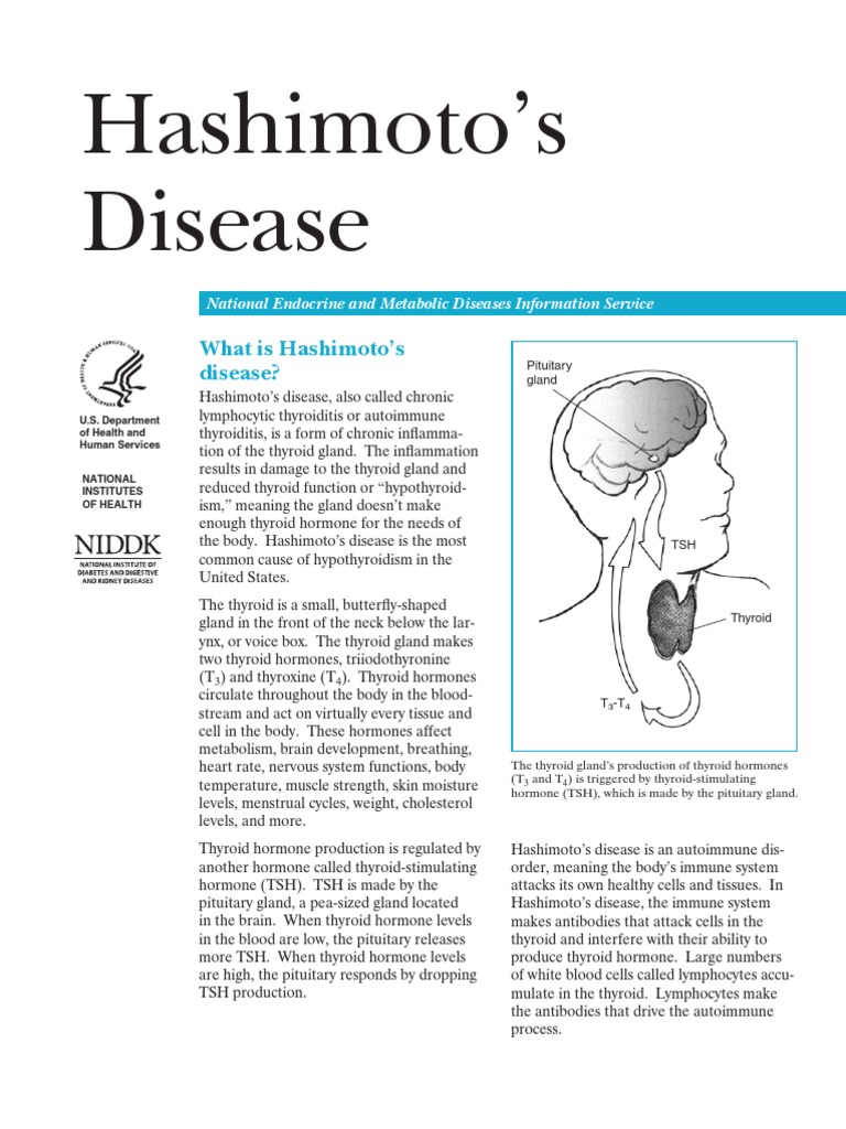 What Is Hashimoto's Disease? | PDF | Hypothyroidism | Thyroid