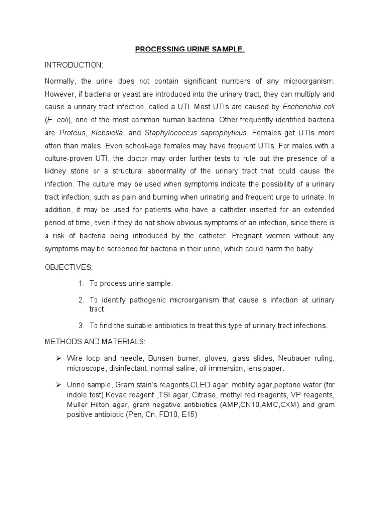 Processing Urine Sample Download Free Pdf Urinary Tract Infection