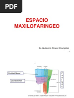 Arco de Riolano | PDF | Tinción | Anatomía