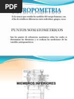 Tablas Antropometricas Revisadas | PDF | Articulaciones | Anatomía