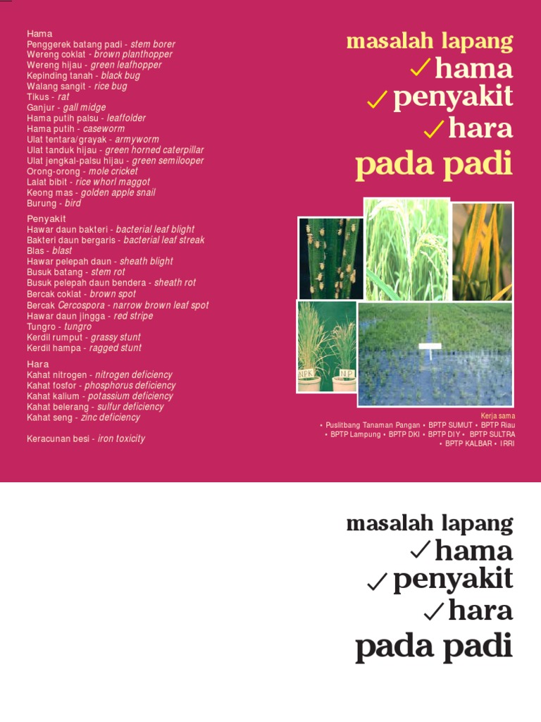 Hama dan Penyakit Tanaman Padi