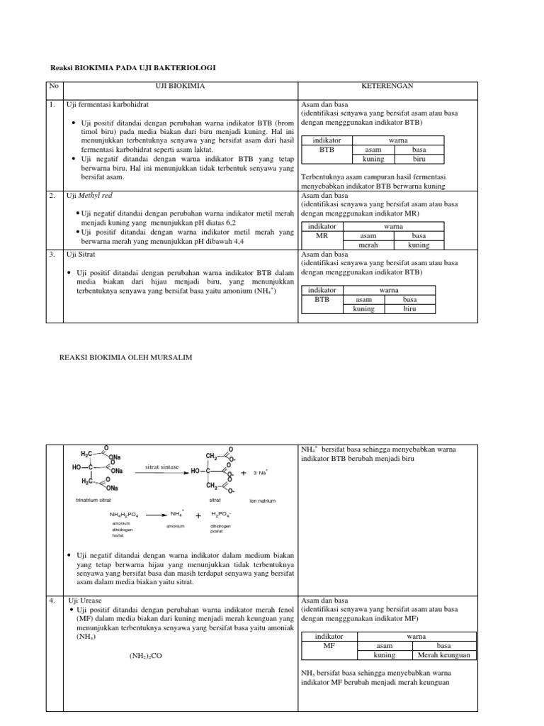 Uji Biokimia | PDF | Sains & Matematika