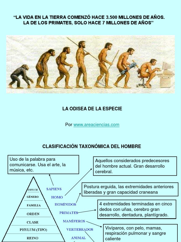La Evolucion Del Hombre