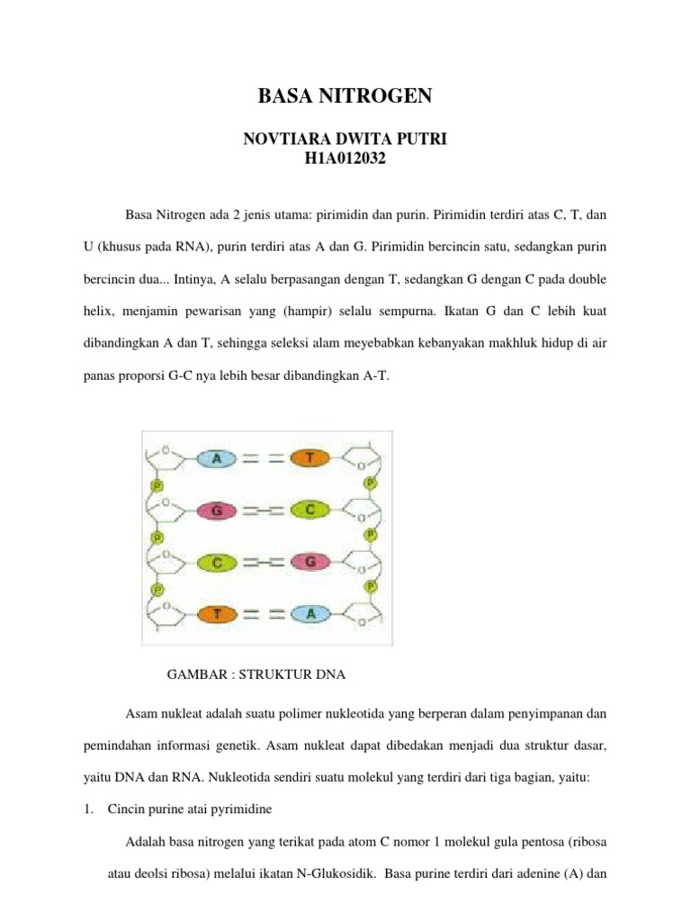 Basa Nitrogen | PDF | Sains & Matematika