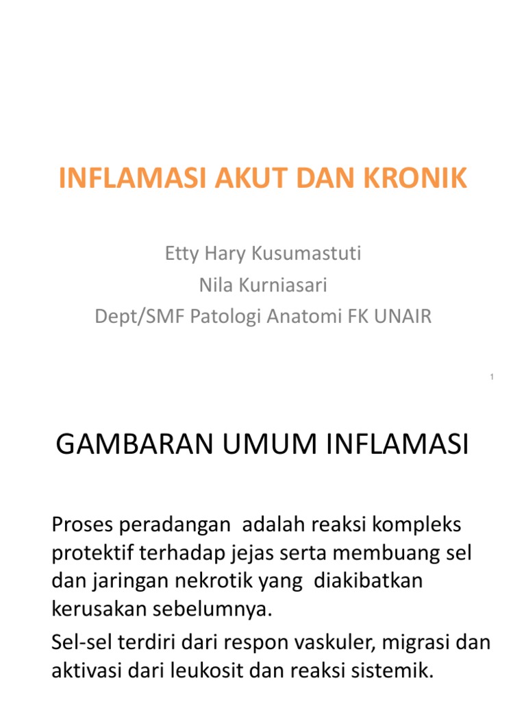 Inflamasi Akut dan Kronik: Panduan Lengkap | PDF | Sains & Matematika