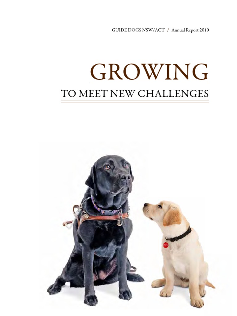Guide Dogs Annual Report 2010 | PDF | Fundraising | Visual Impairment