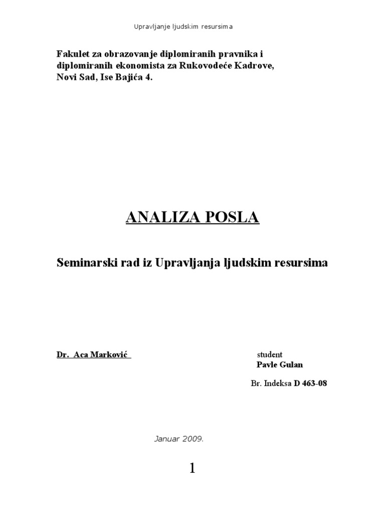Analiza Posla | PDF