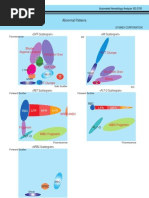 XN-L - Series Flagging Guide - 1399-lss - Rev3 | PDF | White Blood Cell | Granulocyte